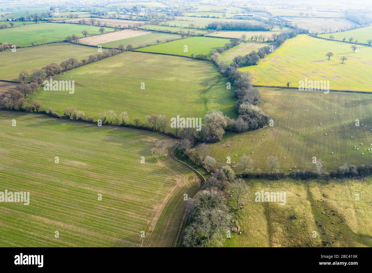 Top view farming hi-res stock photography and images - Alamy