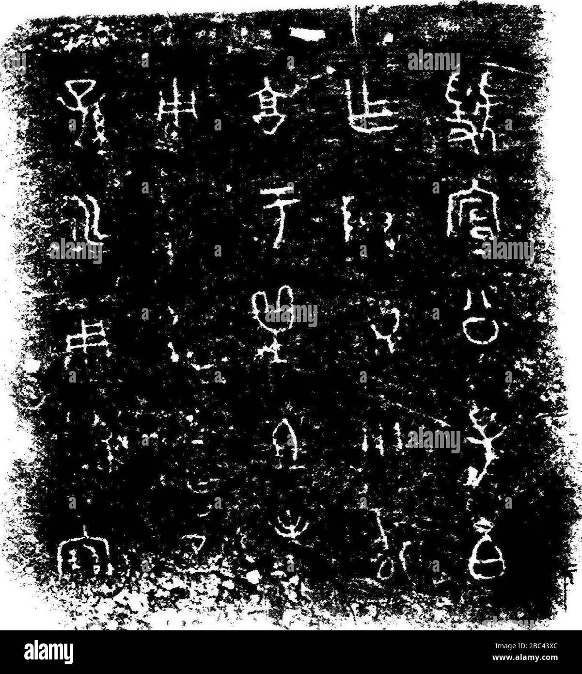 Bai guo hi-res stock photography and images - Alamy