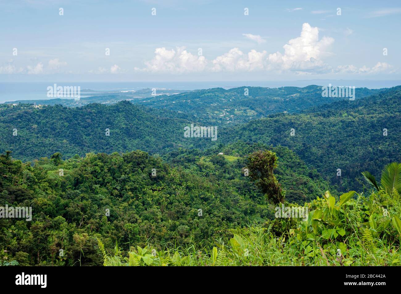 overlooking valley and atlantic ocean on north coast of puerto rico ...