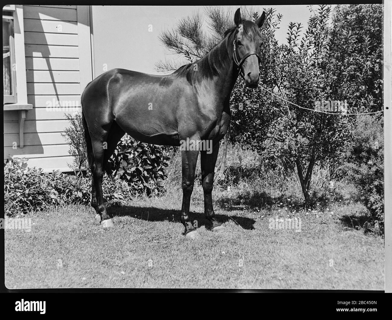 Neville Marriner Historic glass plates of New Zealand scenes and ...