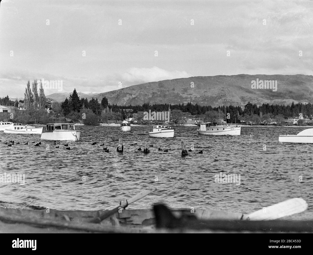 Neville Marriner Historic glass plates of New Zealand scenes and ...