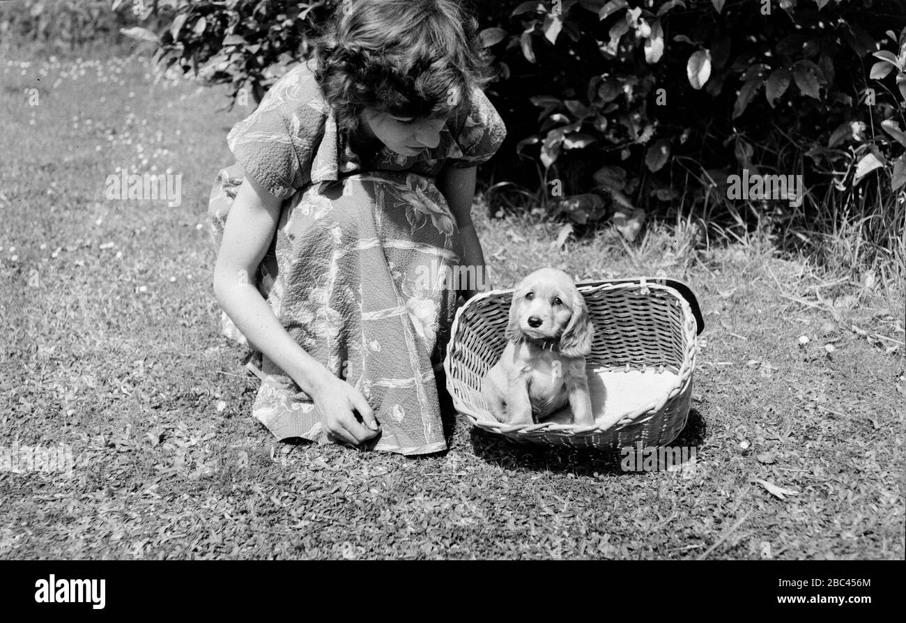 Neville Marriner Historic glass plates of New Zealand scenes and ...