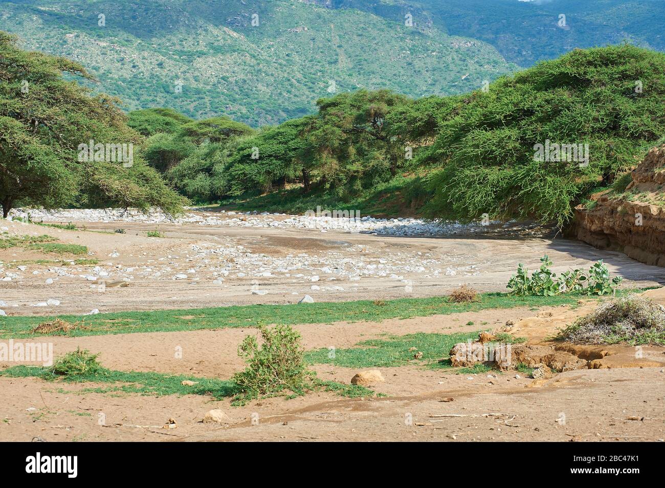 Dried out riverbed hi-res stock photography and images - Alamy