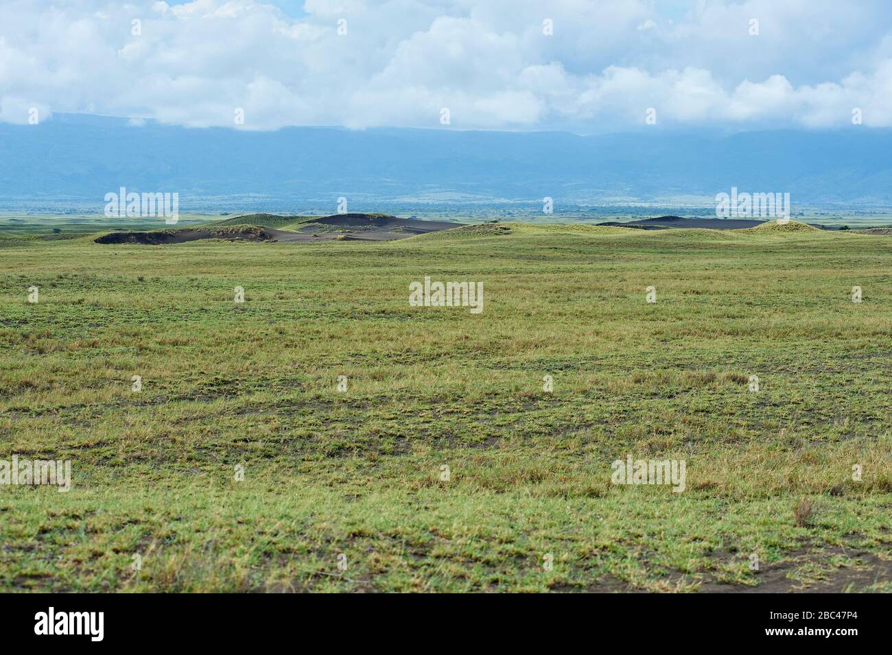 Shifting dunes formed by ash from the Oldoinyo Lengai volcano Stock ...