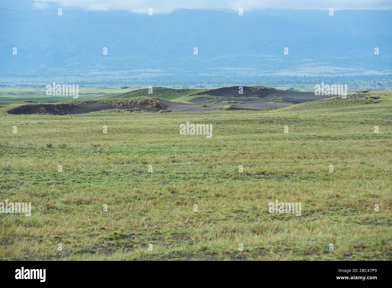 Shifting dunes formed by ash from the Oldoinyo Lengai volcano Stock ...