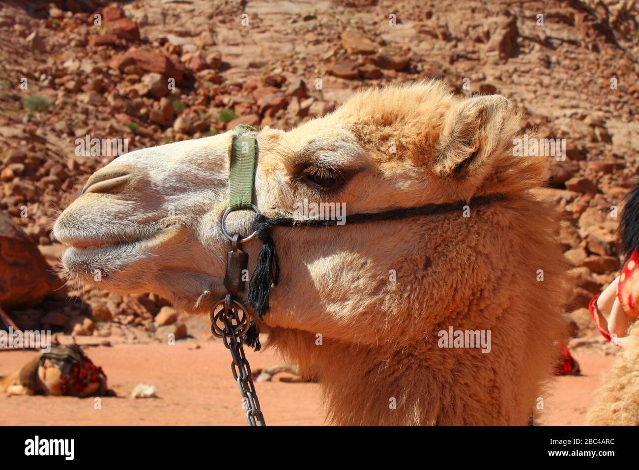 Jordanien hi-res stock photography and images - Alamy