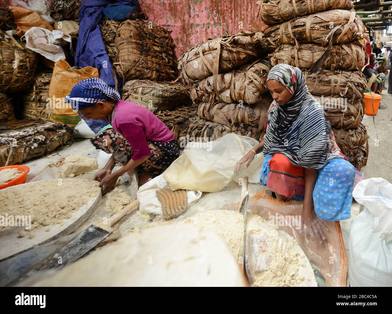 False banana tree hi-res stock photography and images - Alamy