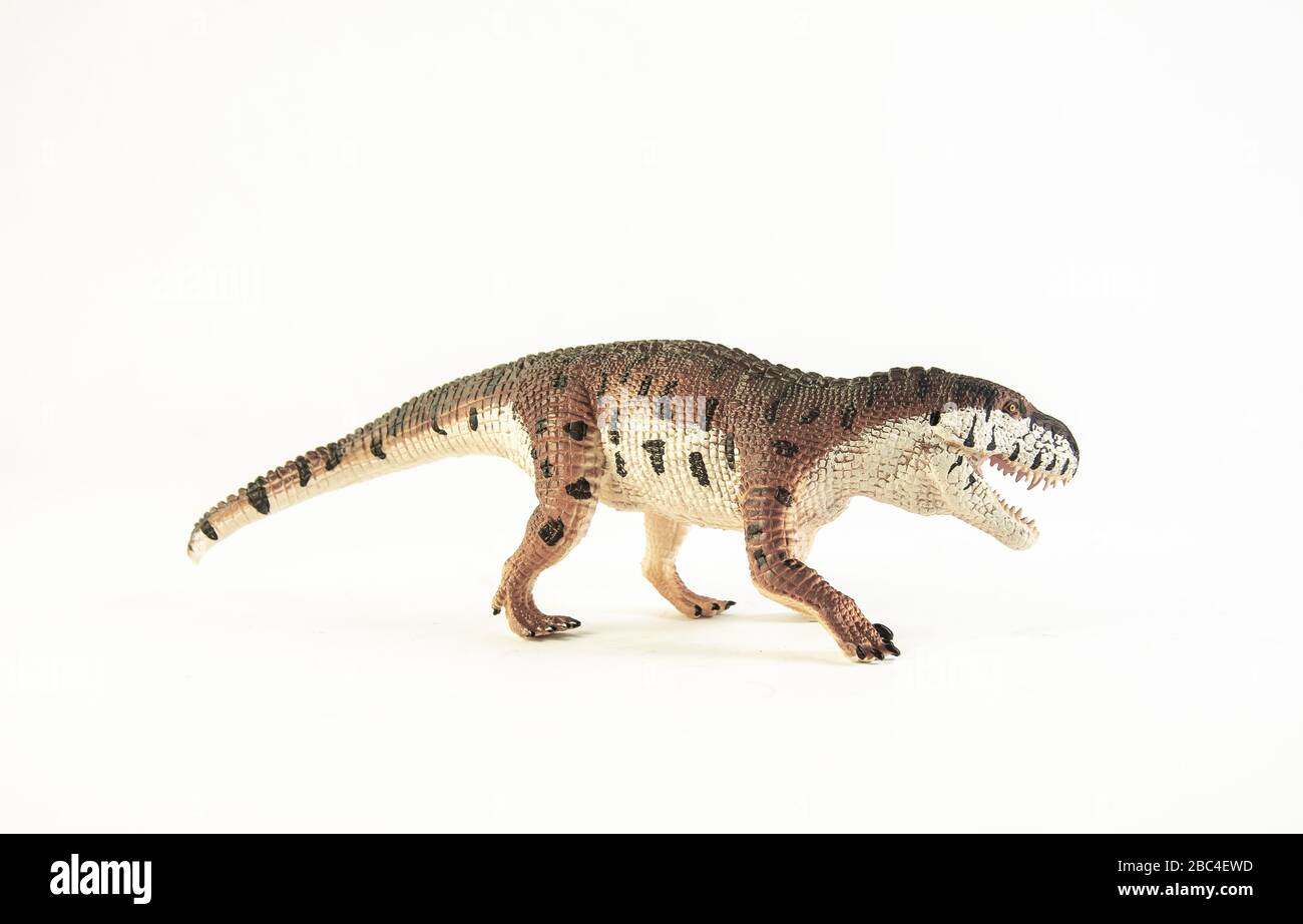 Prestosuchus chiniquensis hi-res stock photography and images - Alamy