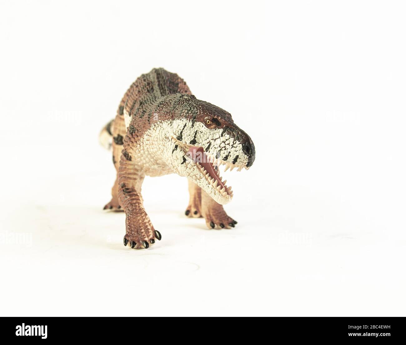 Prestosuchus chiniquensis hi-res stock photography and images - Alamy