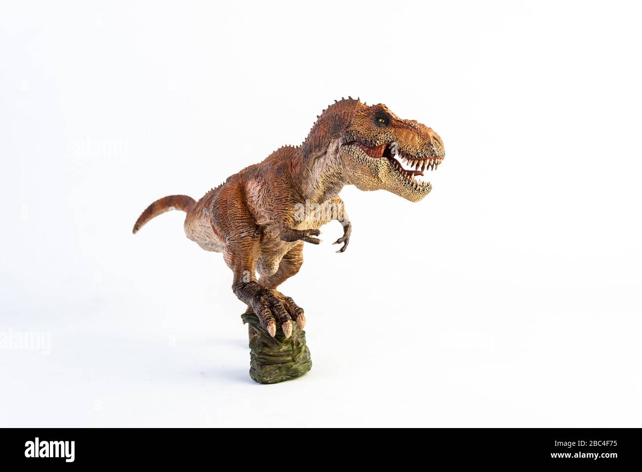 Tyrannosaurus T-rex ,dinosaur on white background Stock Photo - Alamy