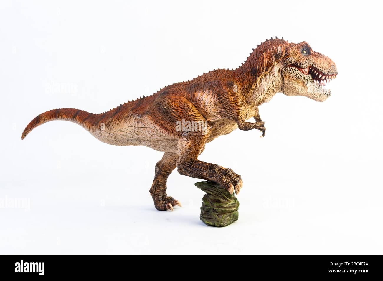 Tyrannosaurus T-rex ,dinosaur on white background Stock Photo - Alamy