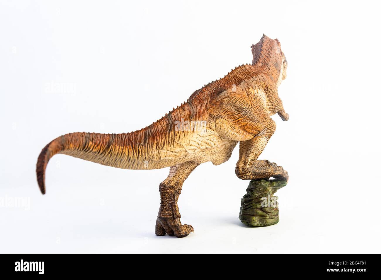 Tyrannosaurus T-rex ,dinosaur on white background Stock Photo - Alamy