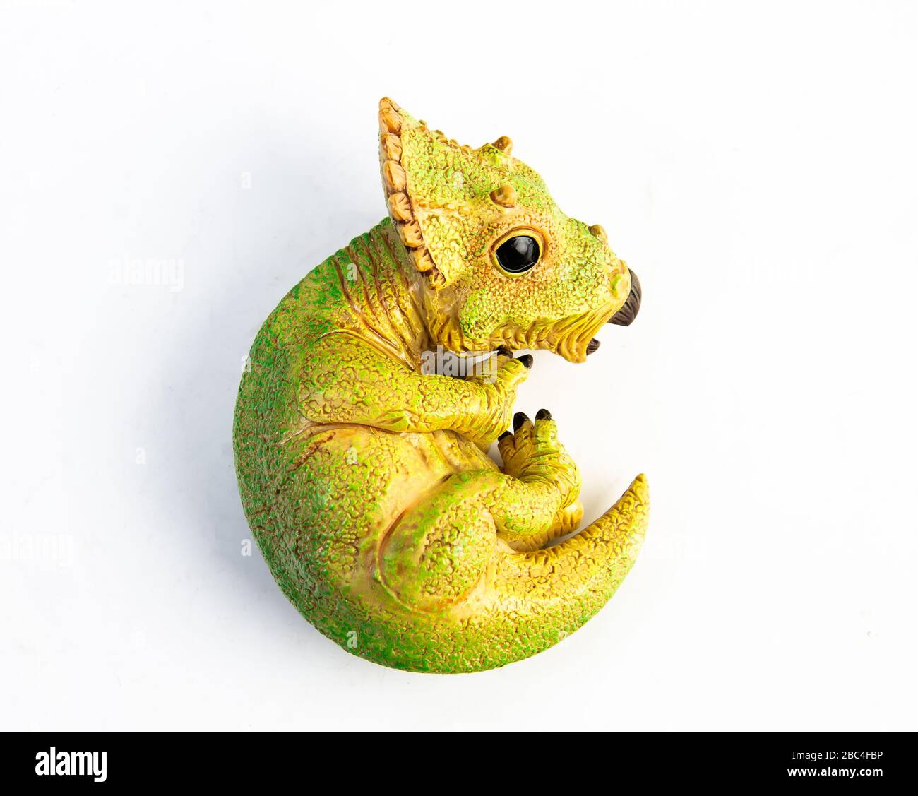 Baby Triceratops ,dinosaur on white background Stock Photo - Alamy