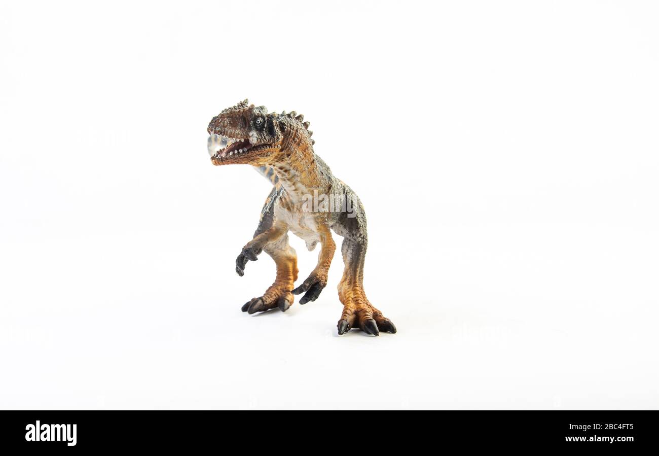 Allosaurus ,dinosaur on white background Stock Photo - Alamy