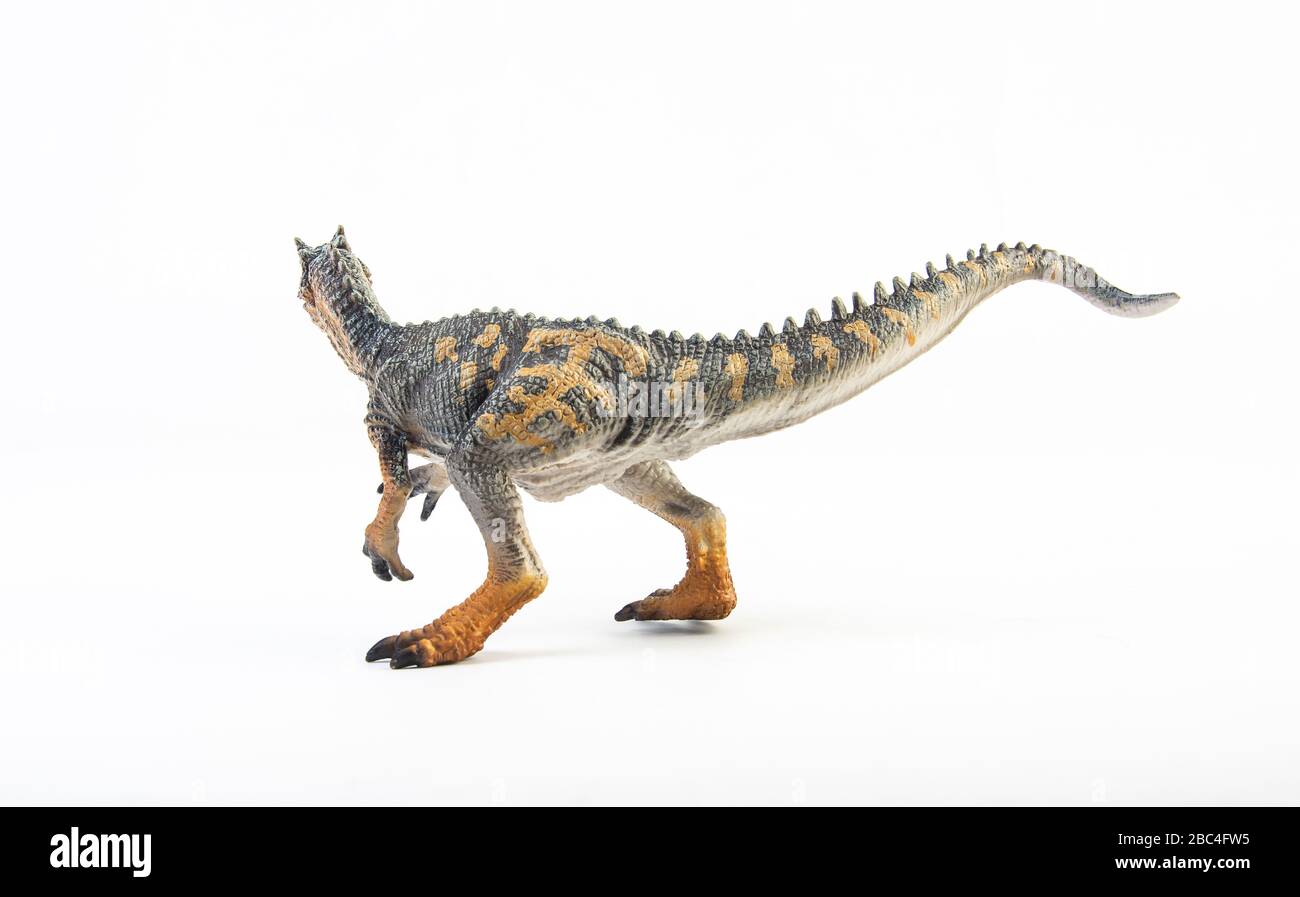 Allosaurus ,dinosaur on white background Stock Photo - Alamy
