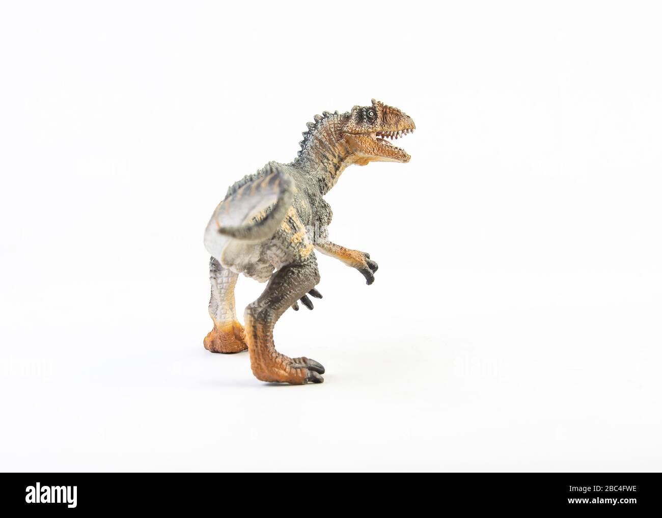 Allosaurus model Cut Out Stock Images & Pictures - Alamy
