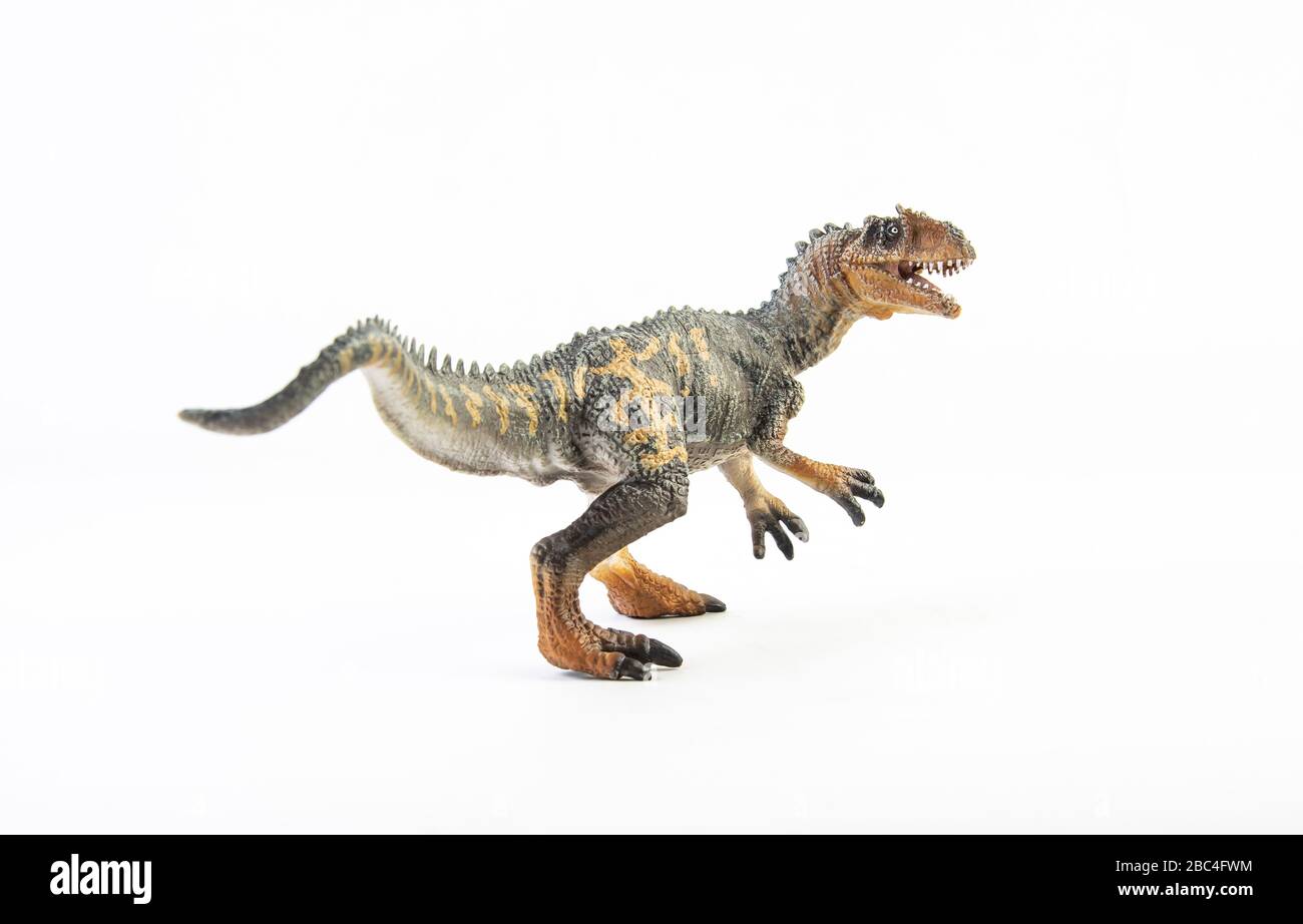 Allosaurus ,dinosaur on white background Stock Photo - Alamy