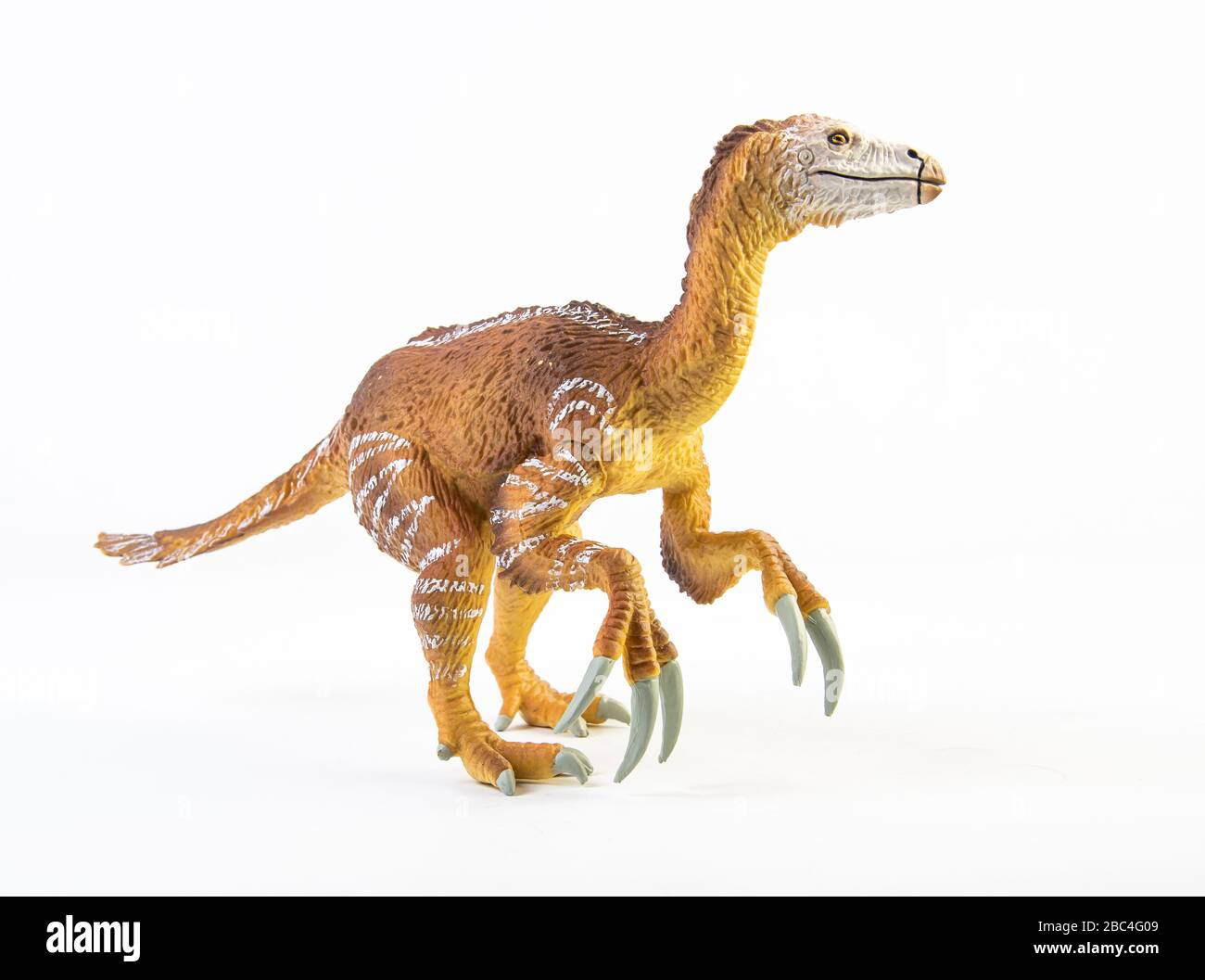 Therizinosaurus hi-res stock photography and images - Alamy