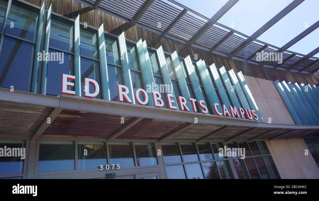 The Disability Mural - educação diferente