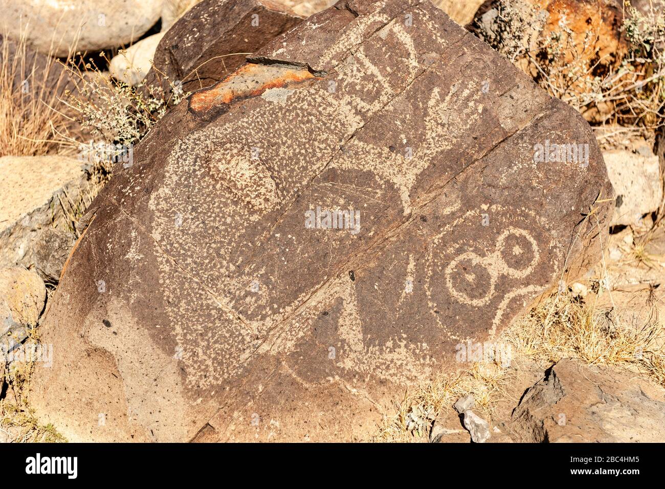 Rock carvings, rock art, petroglyph pattern at Three Rivers Petroglyph ...