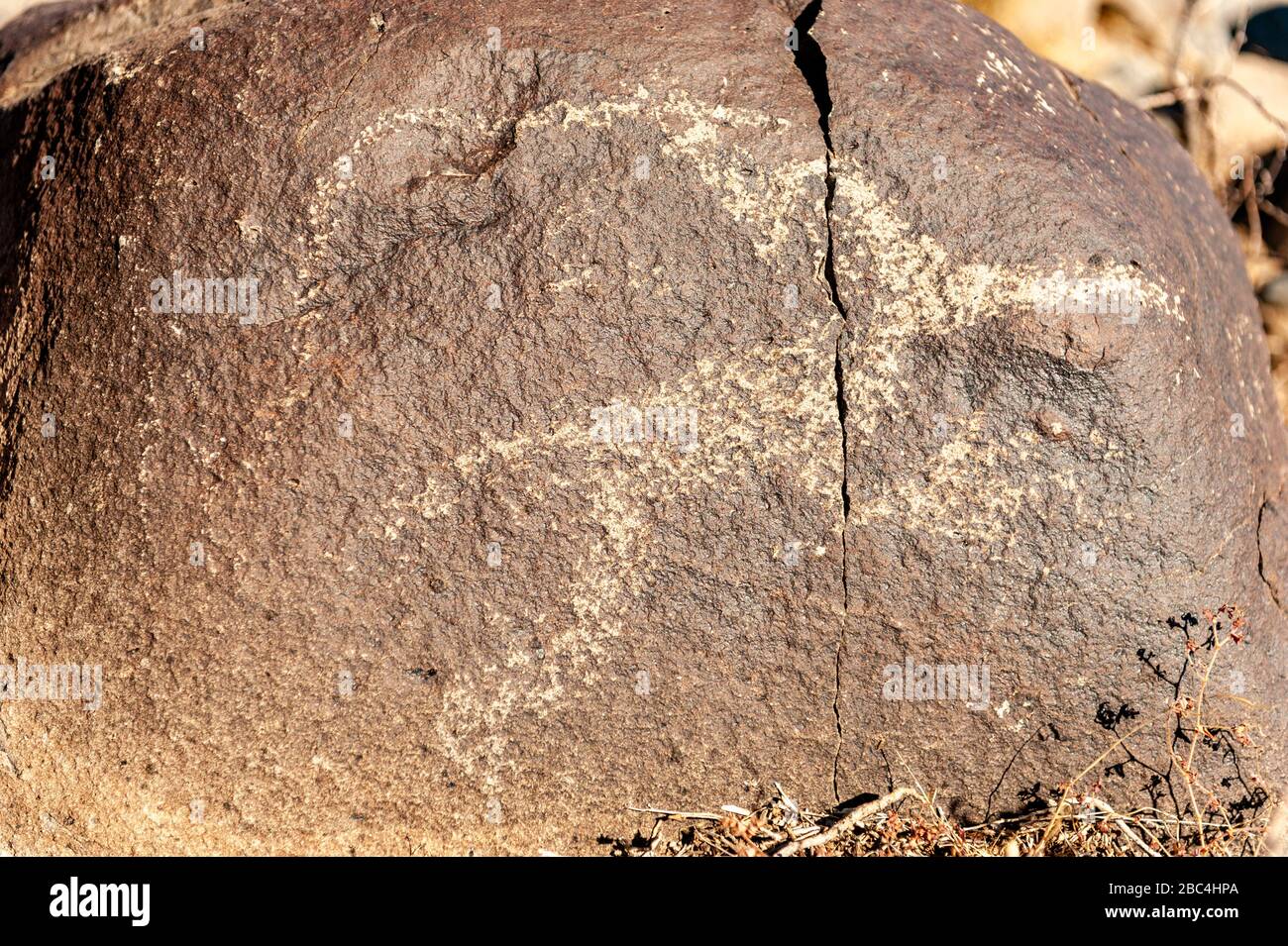 Rock carvings, rock art, petroglyph pattern at Three Rivers Petroglyph ...