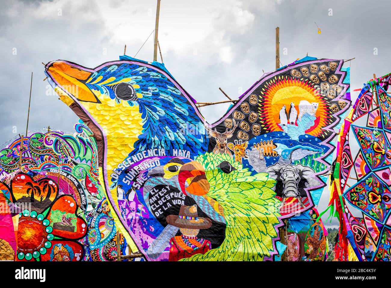 Large bird kite at the Sumpango Kite Festival on Day of the Dead in ...