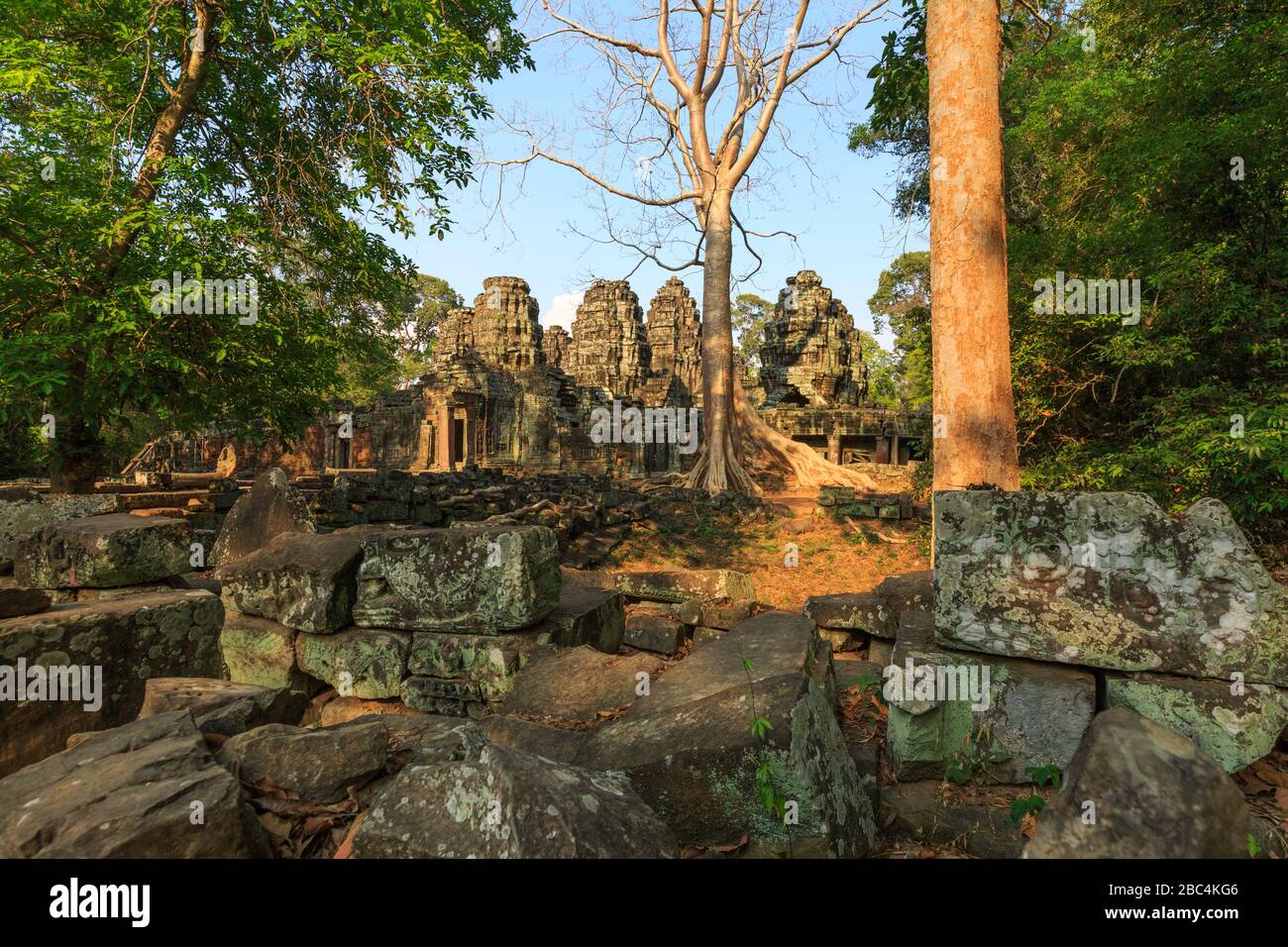 Lost in the forest , ruined by the forest Stock Photo - Alamy