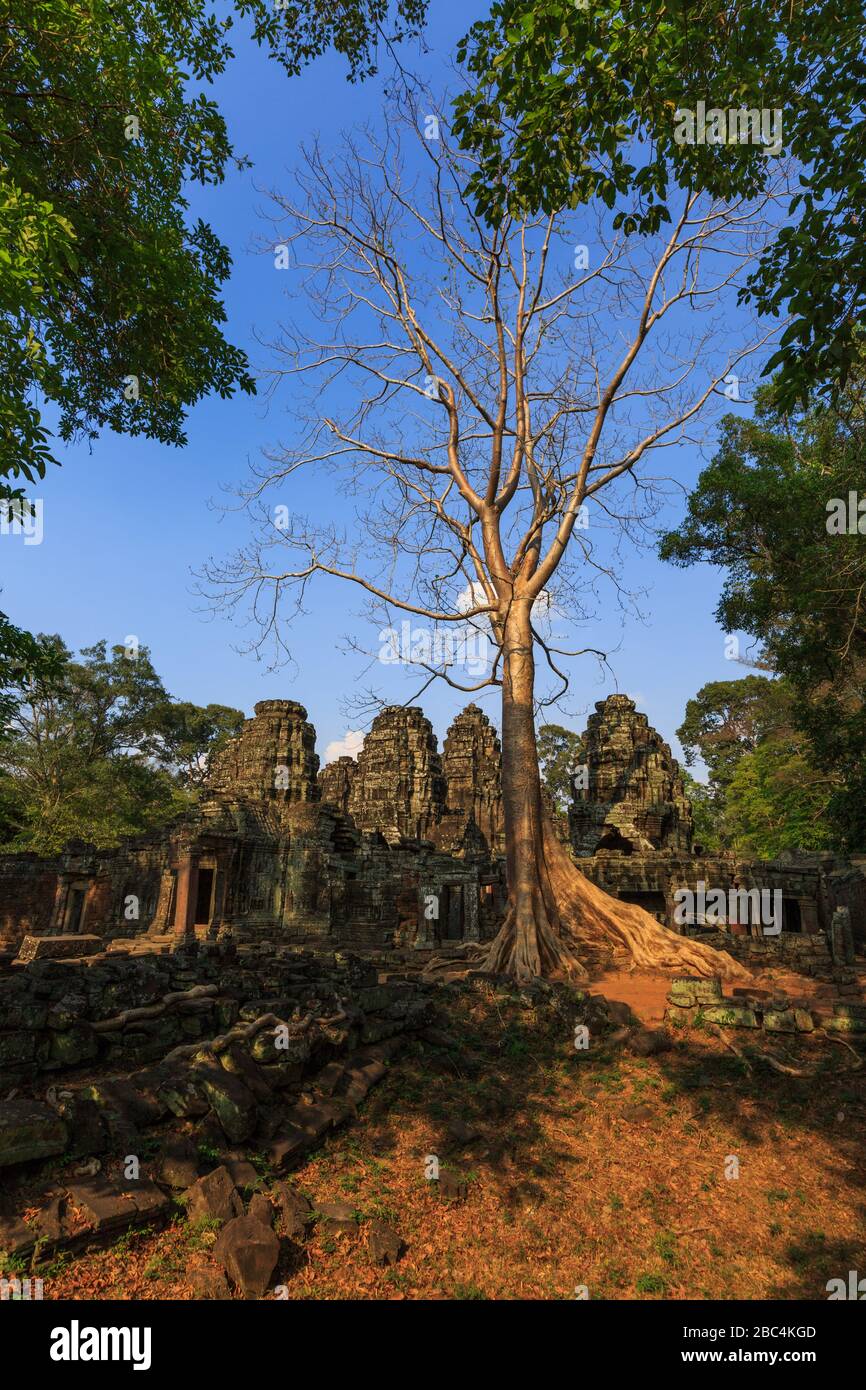 Lost in the forest , ruined by the forest Stock Photo - Alamy
