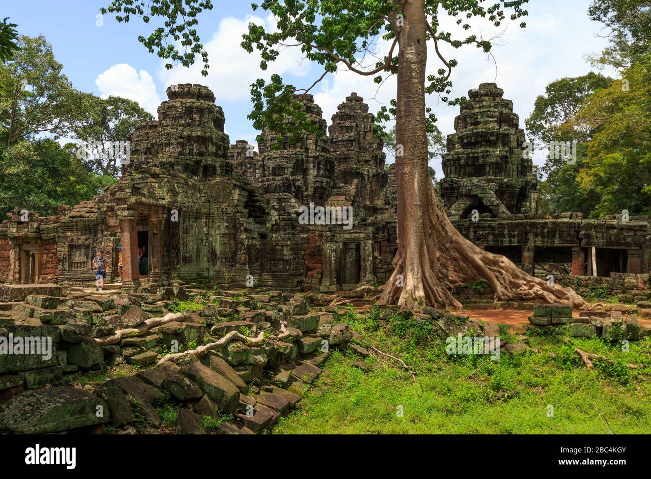 Lost in the forest , ruined by the forest Stock Photo - Alamy