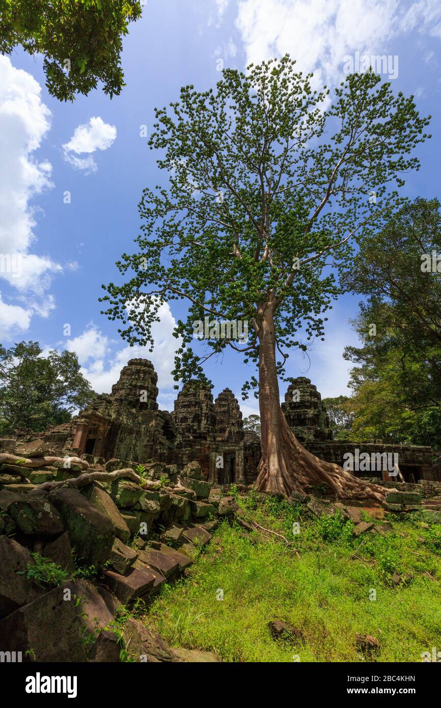 Lost in the forest , ruined by the forest Stock Photo - Alamy