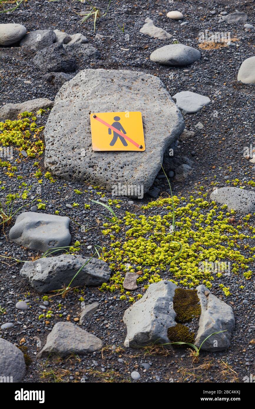 A Do not Walk sign fastened to a rock on the Reynisfjara beach of ...