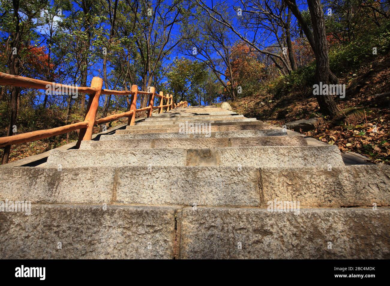 The stone steps of the mountain Stock Photo - Alamy