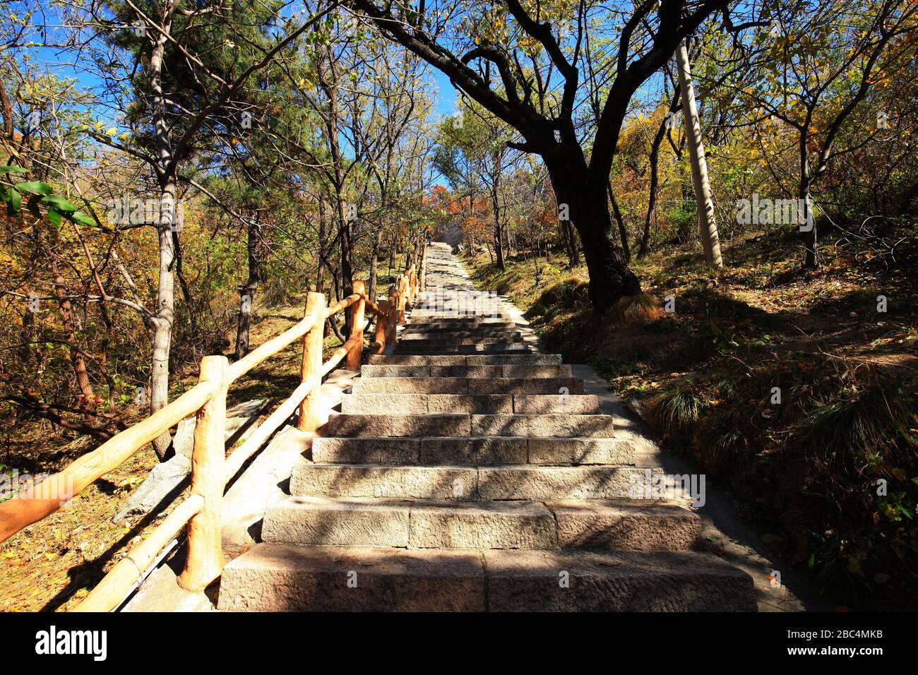 The stone steps of the mountain Stock Photo - Alamy