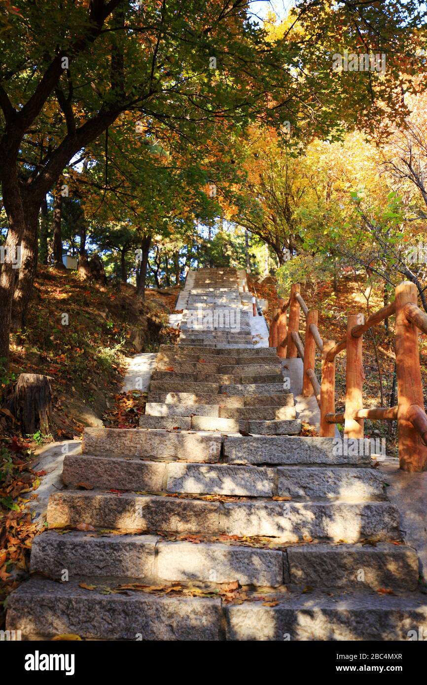 The stone steps of the mountain Stock Photo - Alamy