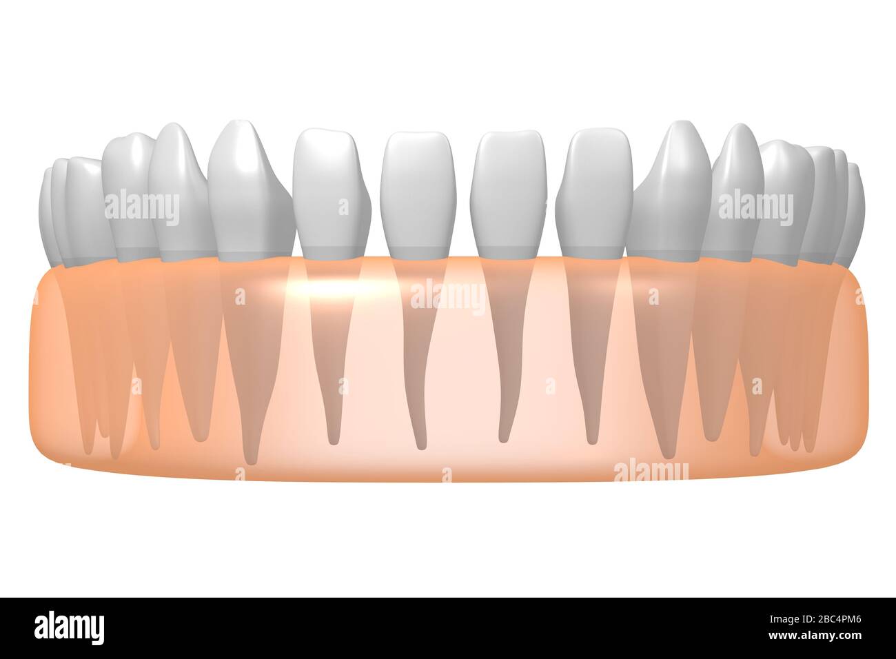 3D healthy teeth Stock Photo - Alamy