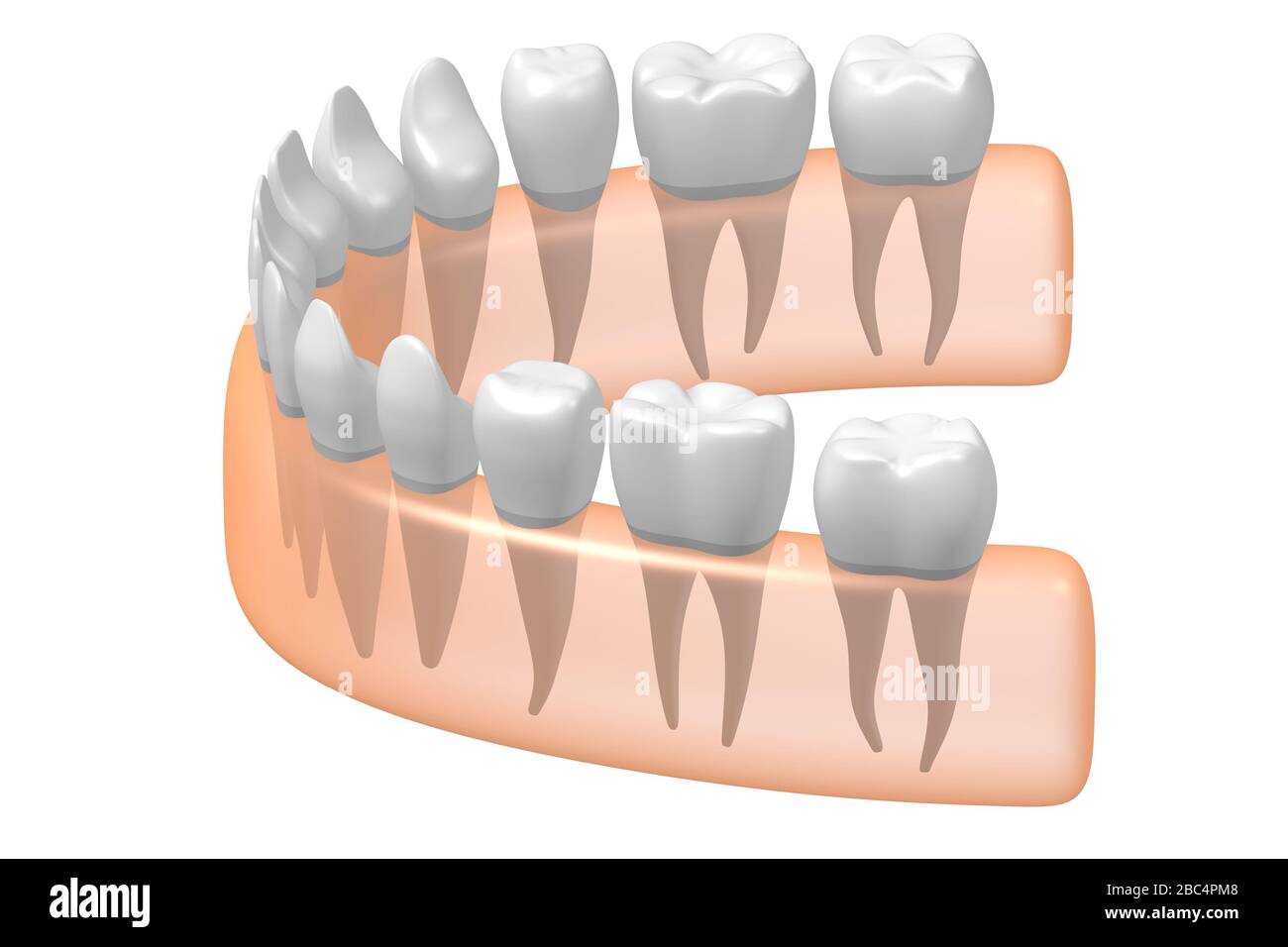 3D healthy teeth Stock Photo - Alamy