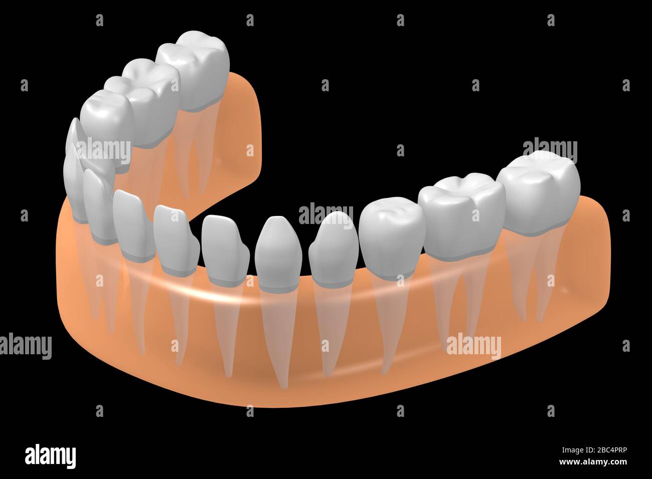 Healthy human teeth Stock Photo - Alamy
