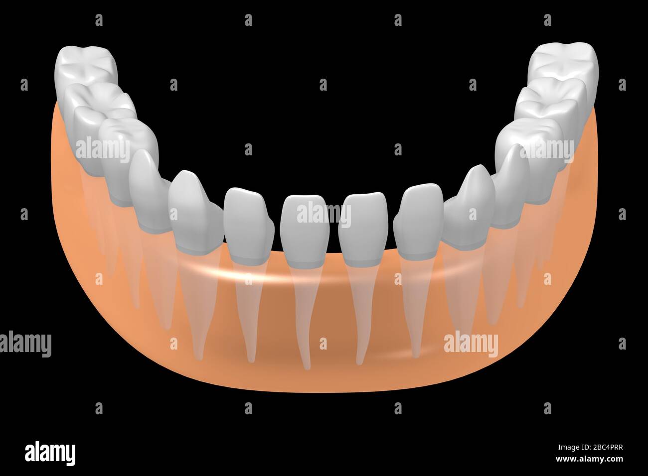 Healthy human teeth Stock Photo - Alamy