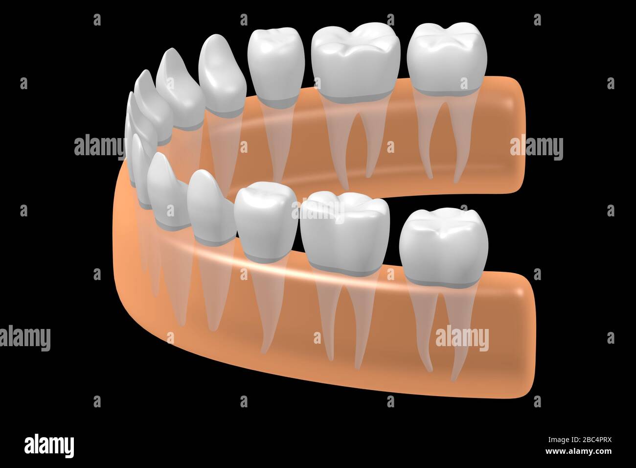 Healthy human teeth Stock Photo - Alamy
