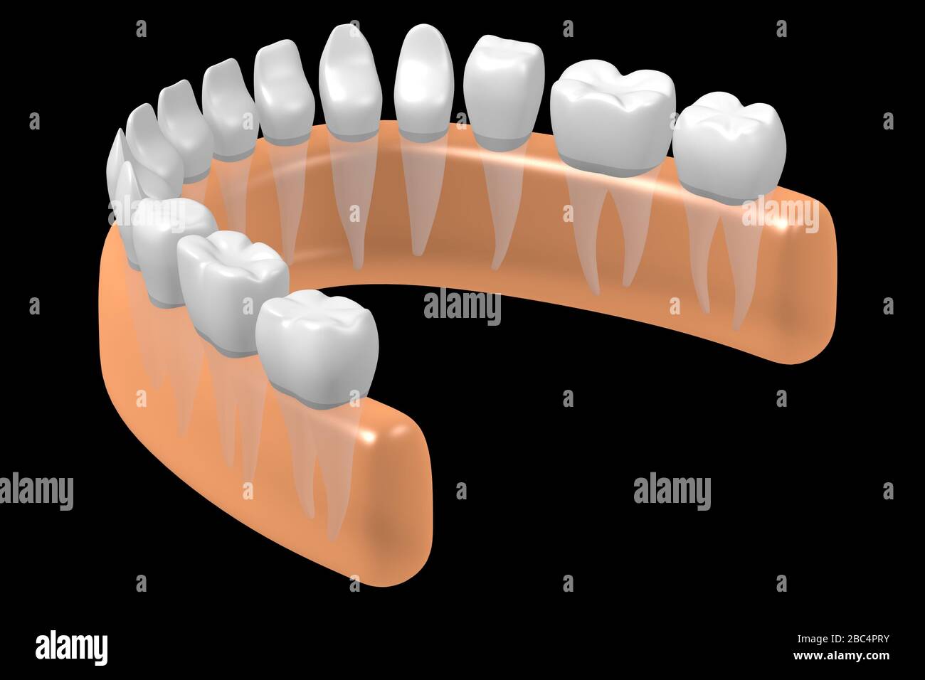 Healthy human teeth Stock Photo - Alamy