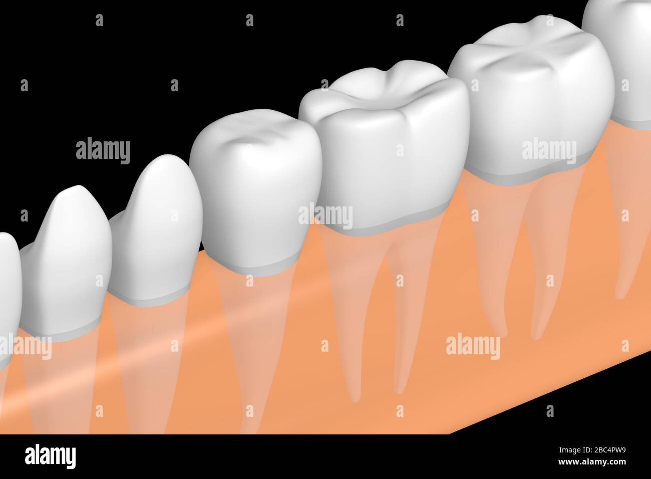 3d teeth hi-res stock photography and images - Alamy