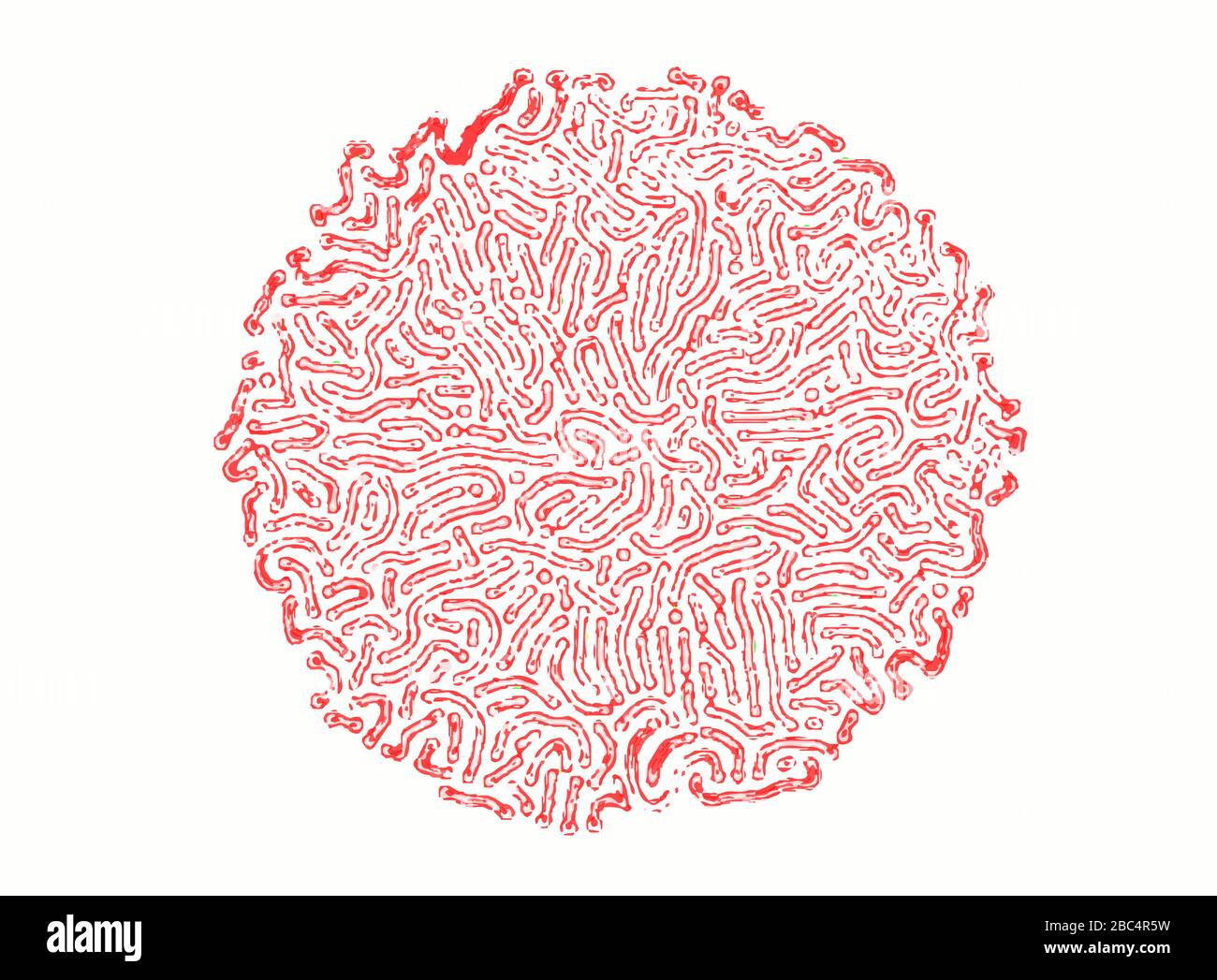 microscopic image of the red bacterias Stock Vector Image & Art - Alamy