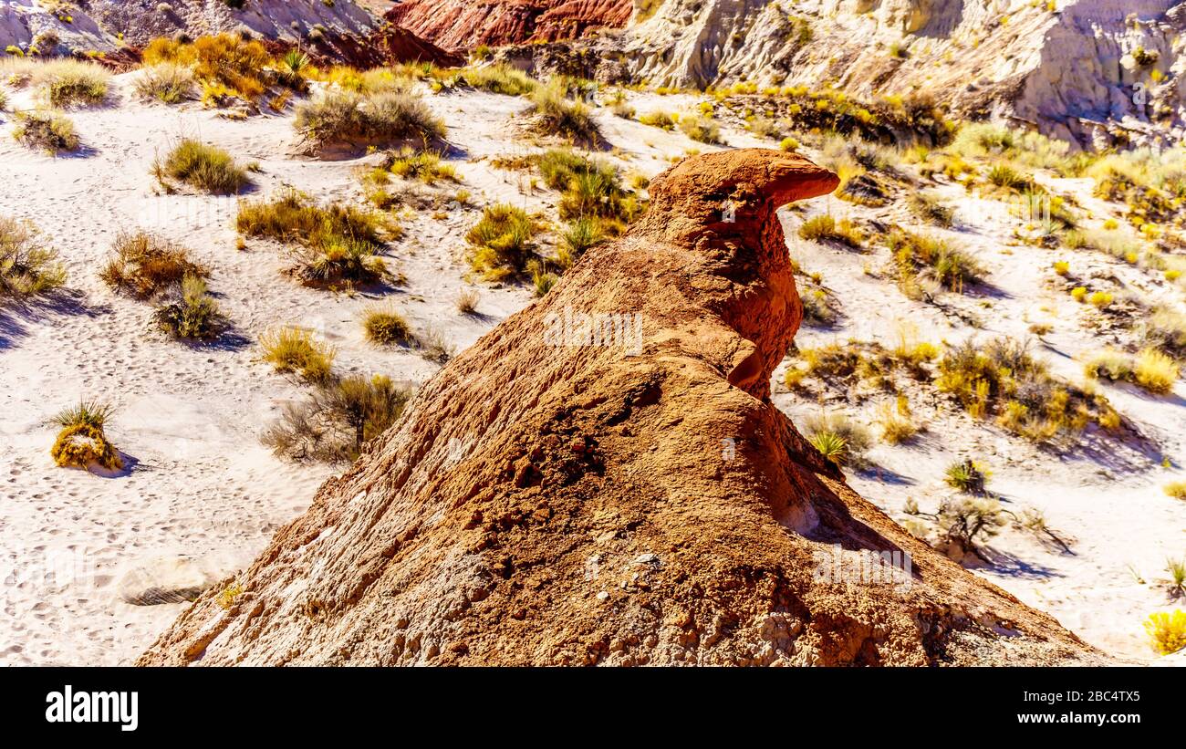 Erosion shaped this Rock Formation to look like a Bird along the ...