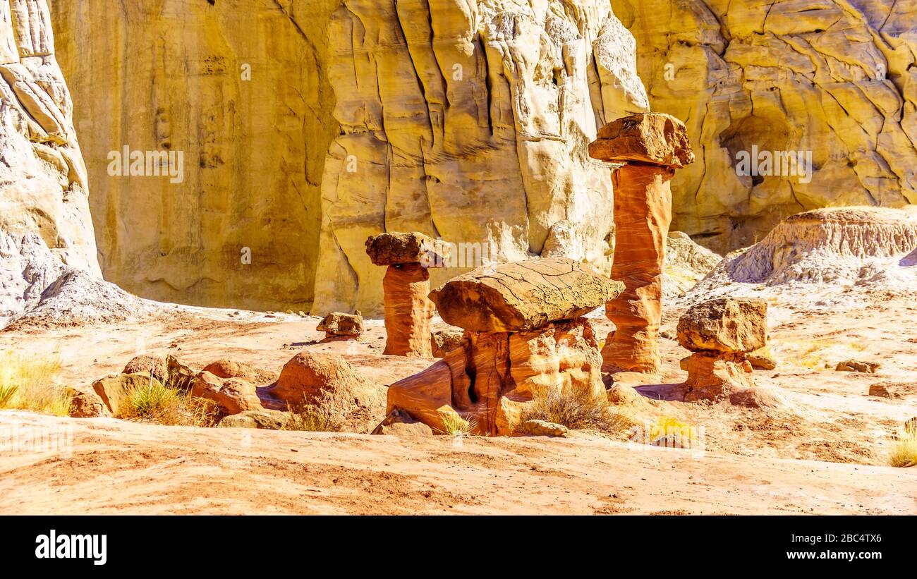 Toadstool Hoodoos against the background of the colorful sandstone ...