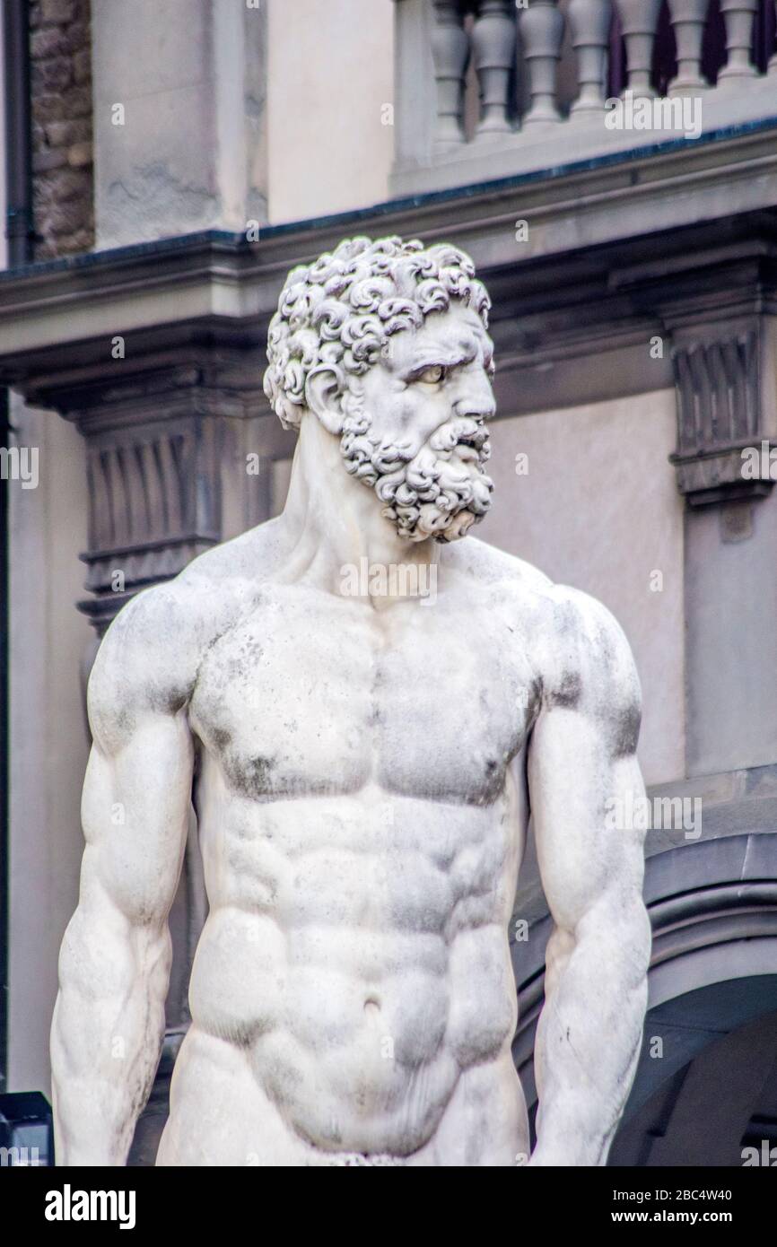 Florence statue in Piazza della Signoria, the Italian Florentine ...