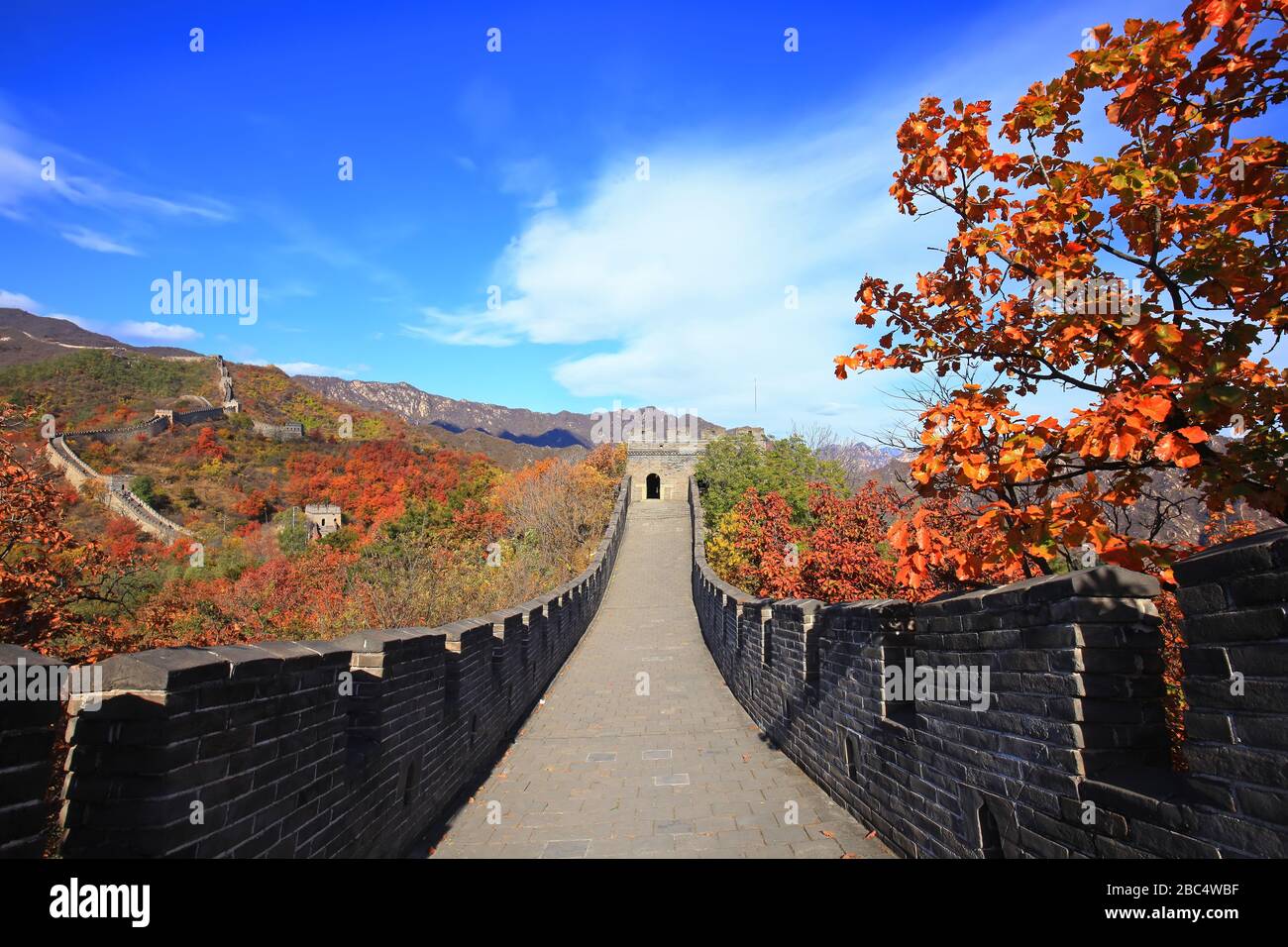 The Great Wall of China is in autumn Stock Photo - Alamy