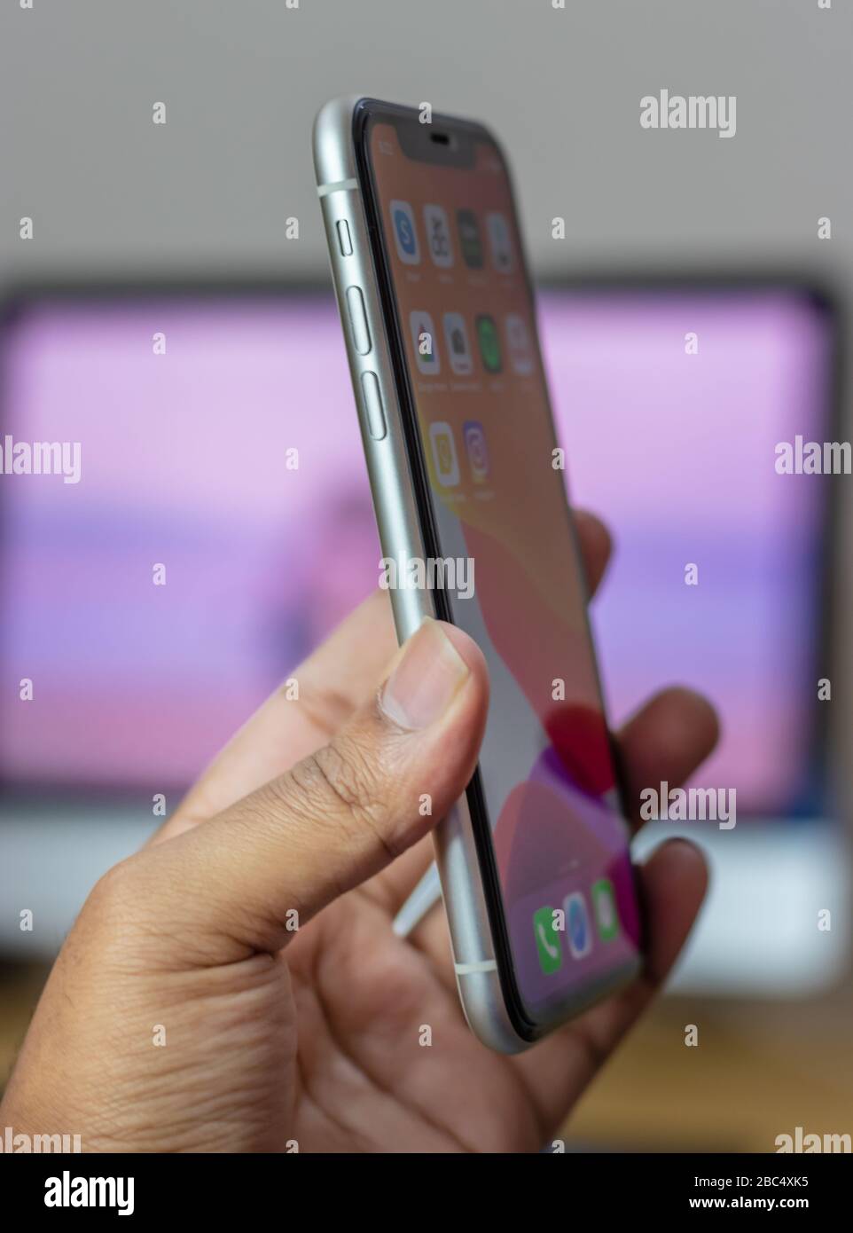 Backside of iPhone 11 white variant holding on hand Stock Photo - Alamy