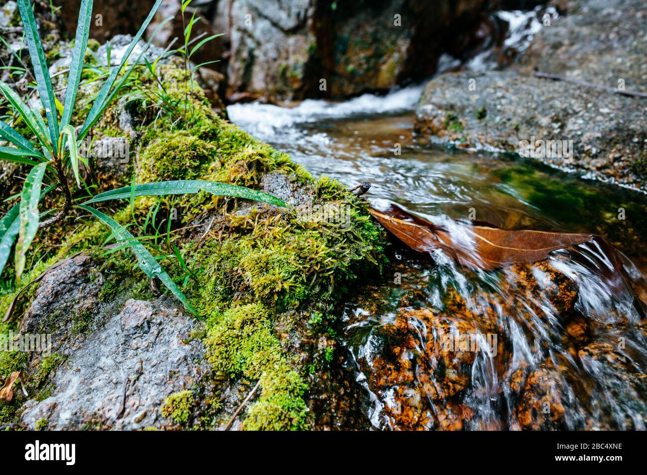 A small mountain river flows among large stones in mountainous areas ...