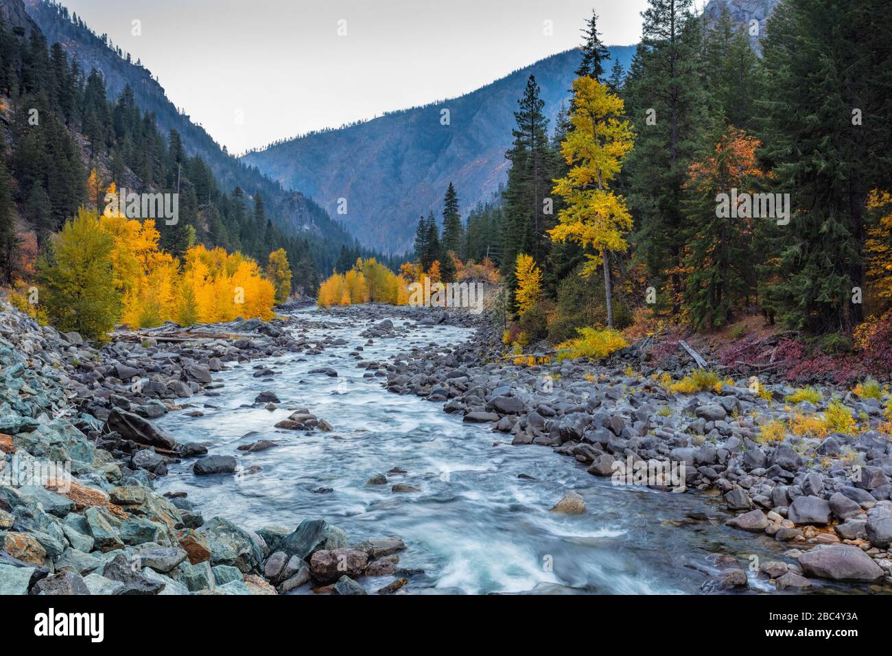 River during fall colors in the Pacific Northwest Stock Photo - Alamy