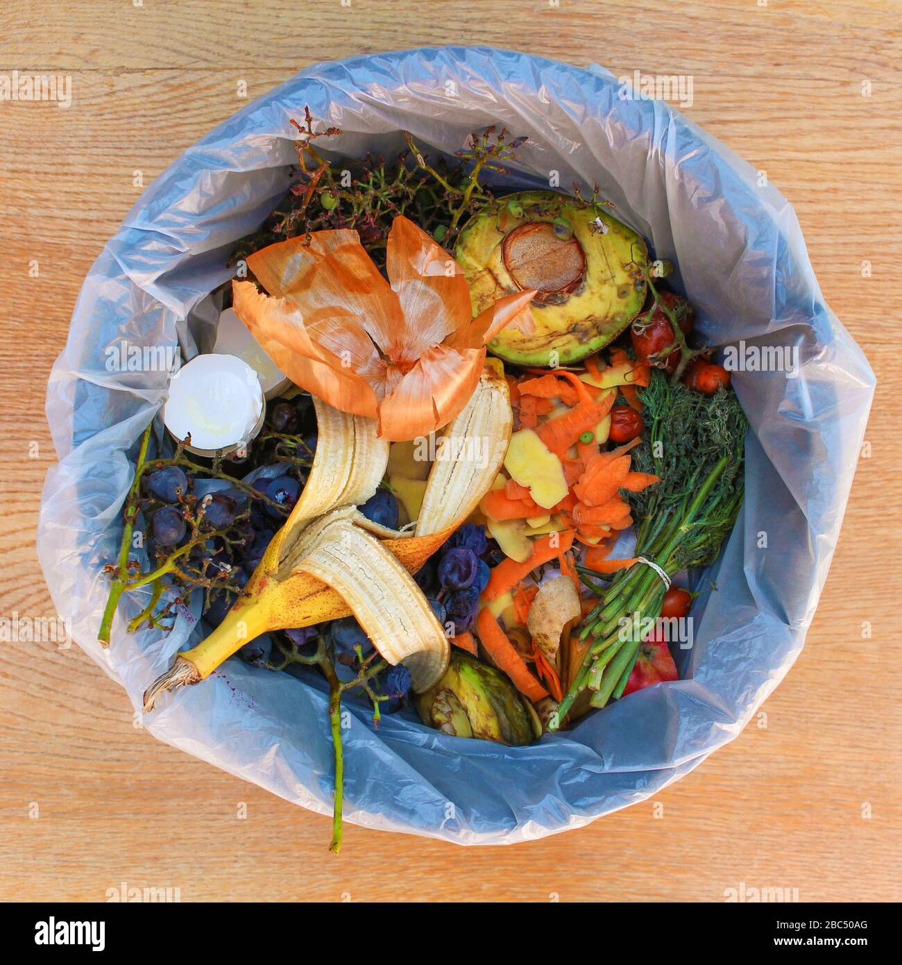 Domestic waste for compost from fruits and vegetables in garbage bin ...